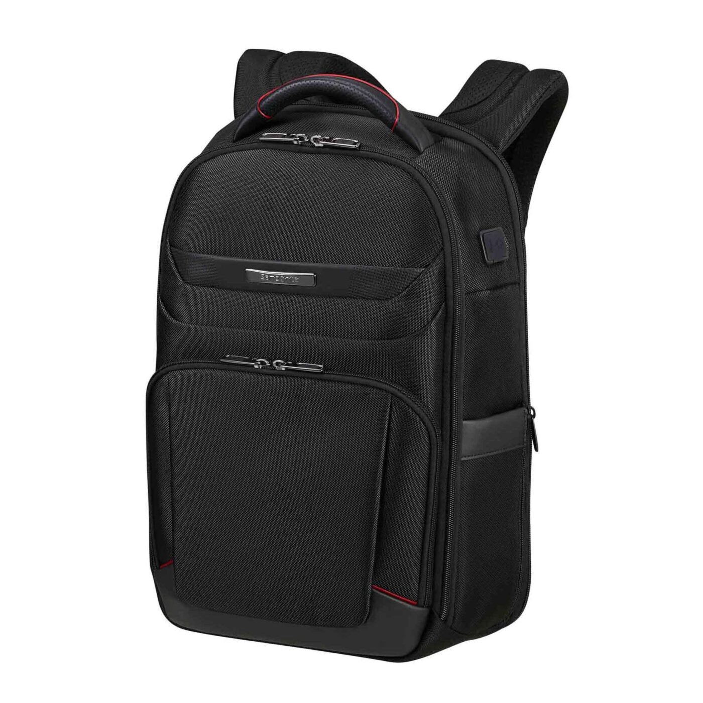 Samsonite Pro-Dlx 6 Laptop Backpack